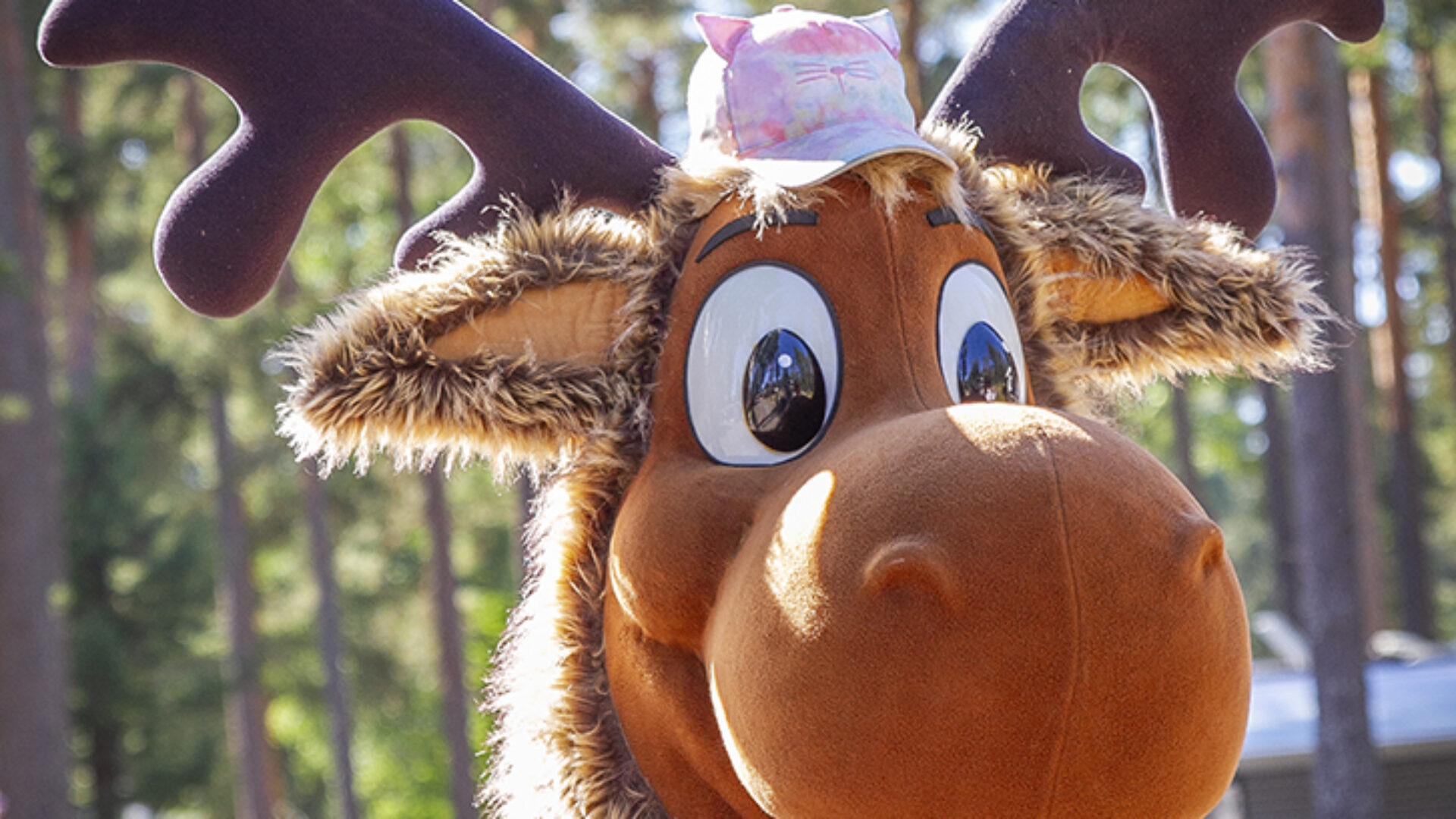 Upplevelser för hela familjen - Bomstadbaden